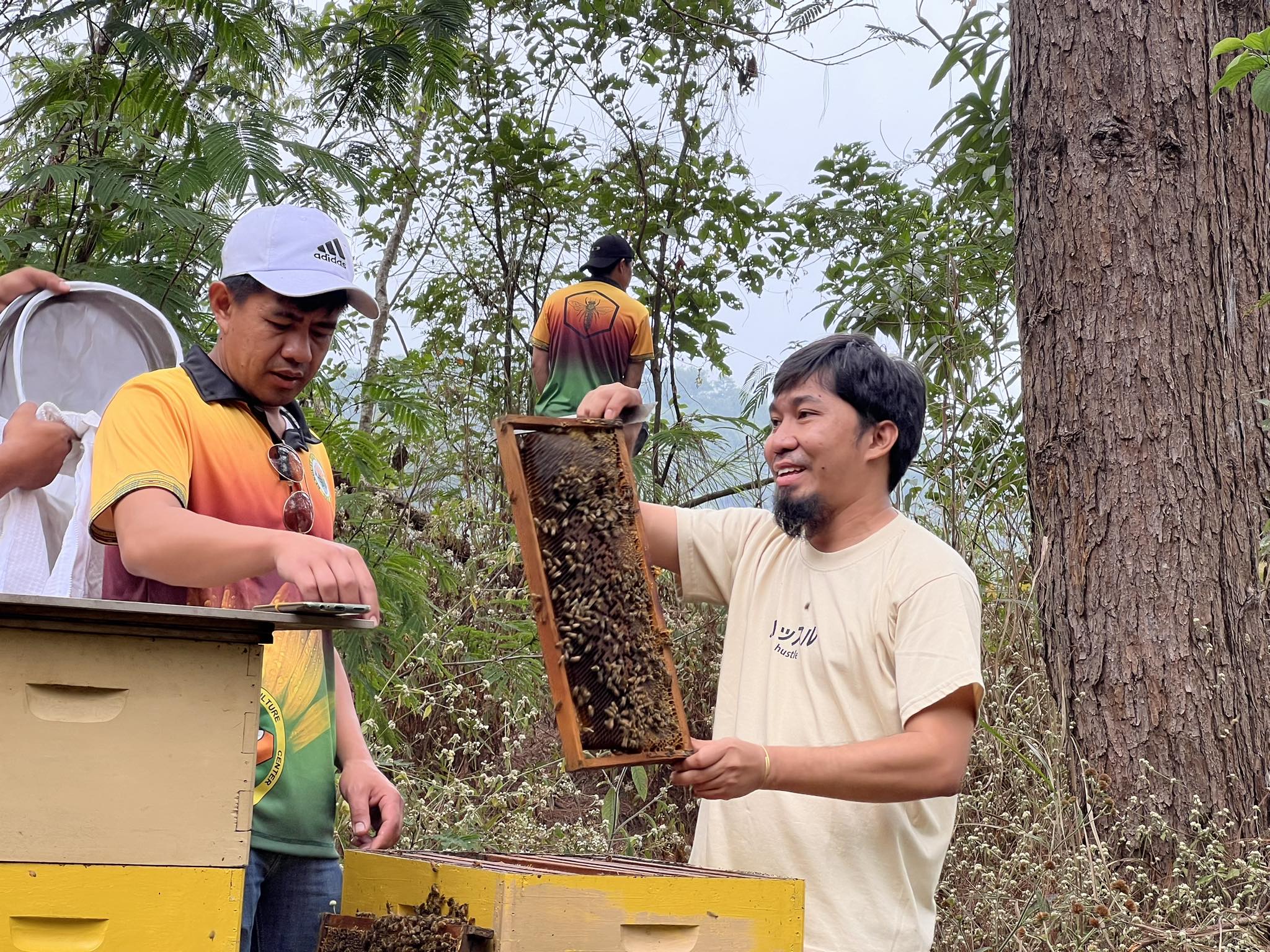 bubuyog – Commitment to sustainability and the well-being of honeybees ...