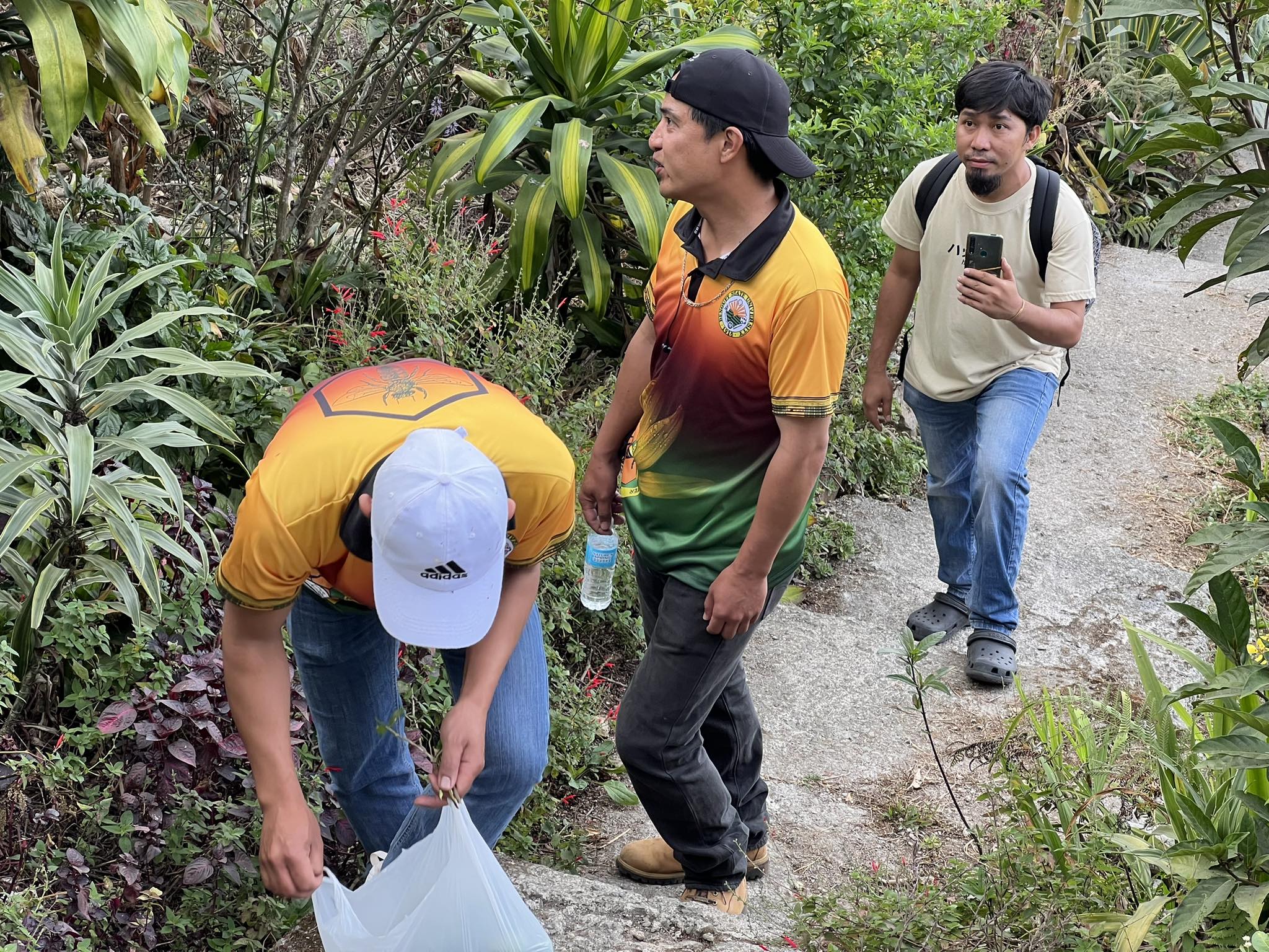 bubuyog – Commitment to sustainability and the well-being of honeybees ...