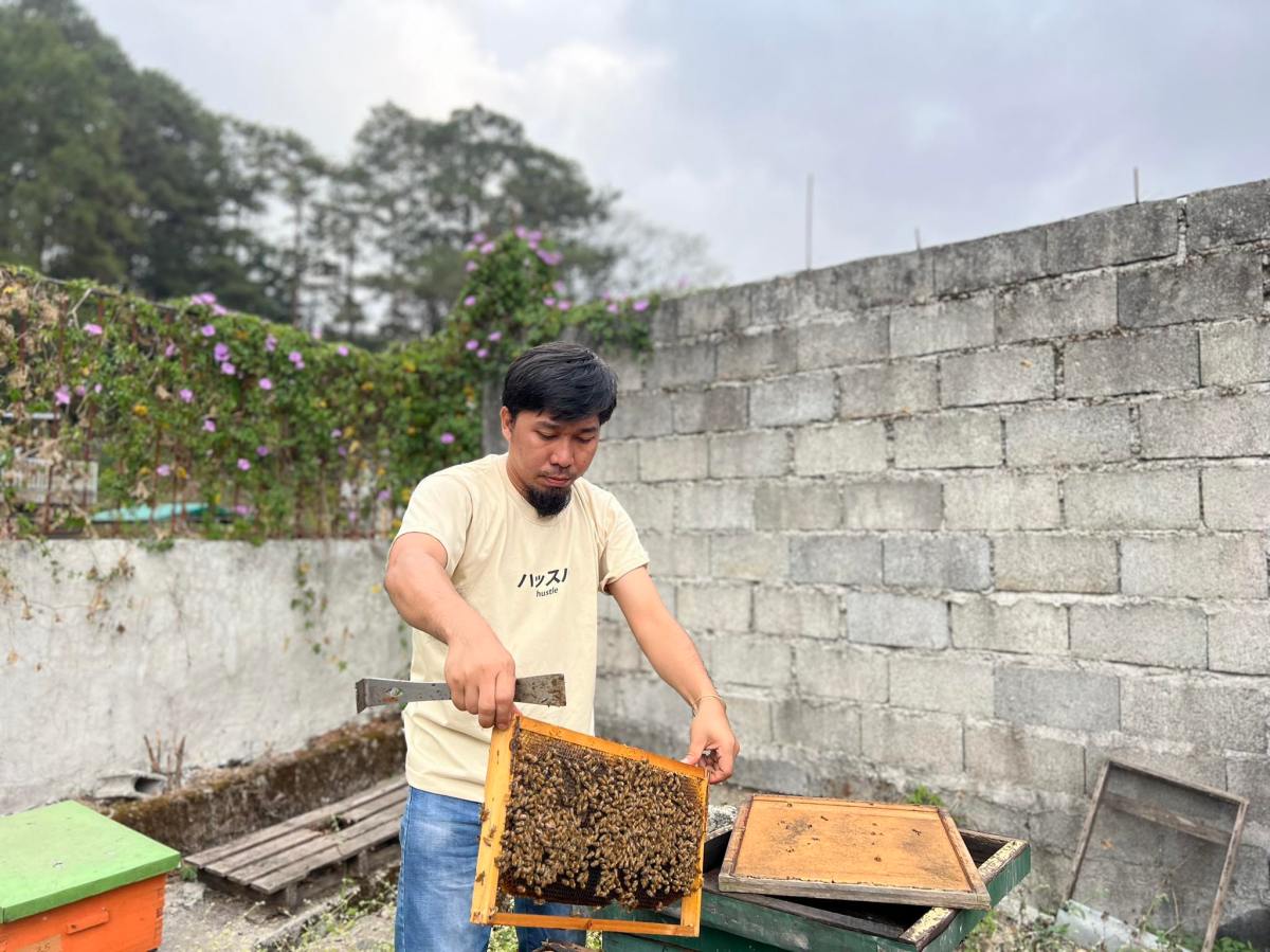 Blog Posts – bubuyog