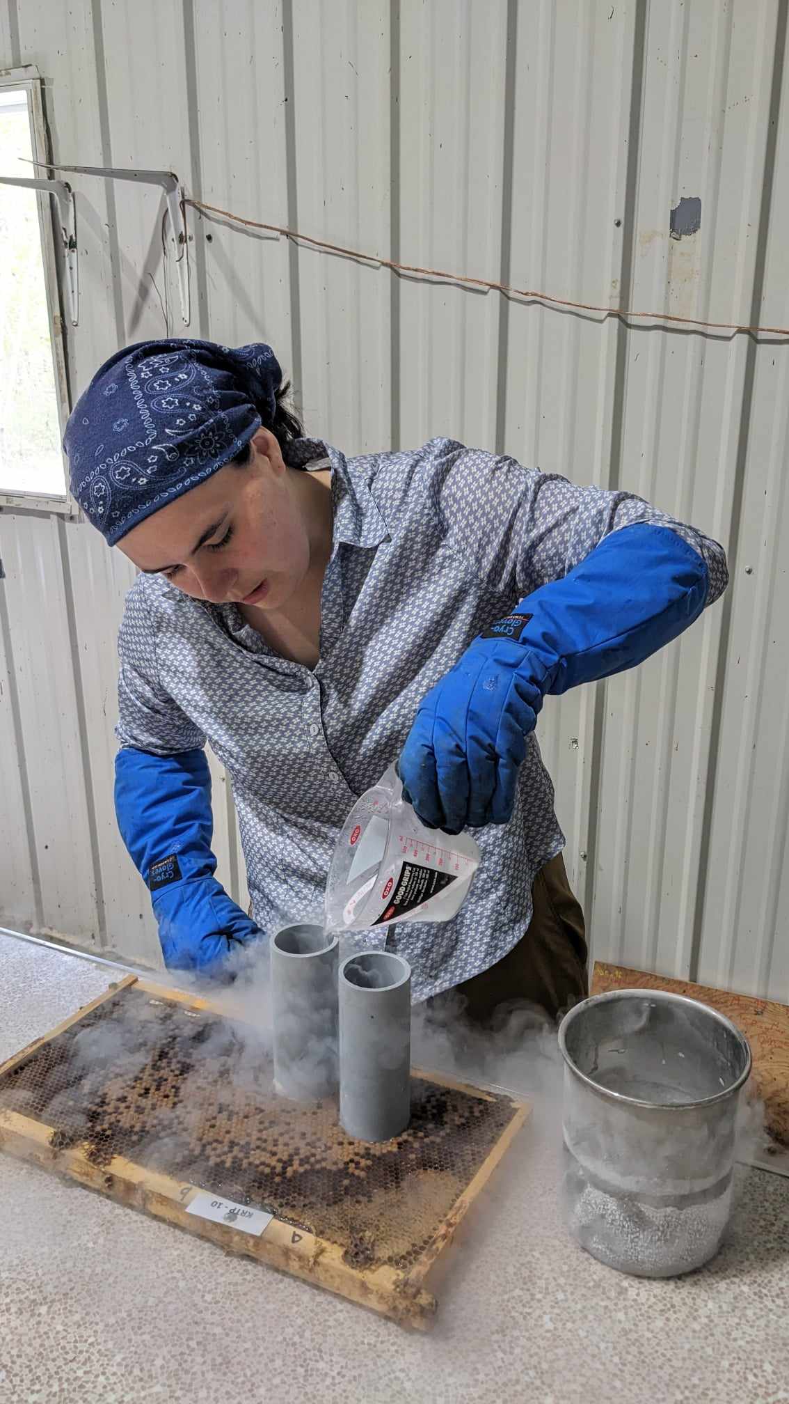 bubuyog – Commitment to sustainability and the well-being of honeybees ...